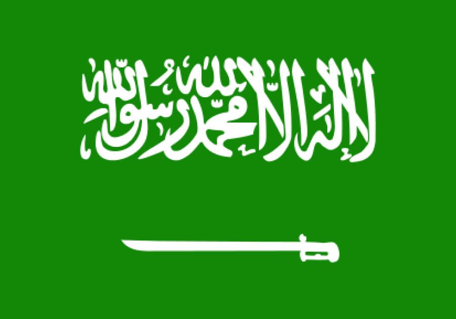 Saudi Arabia country profile | Global Digital Wellbeing Index Saudi Arabia country profile | Global Digital Wellbeing Index